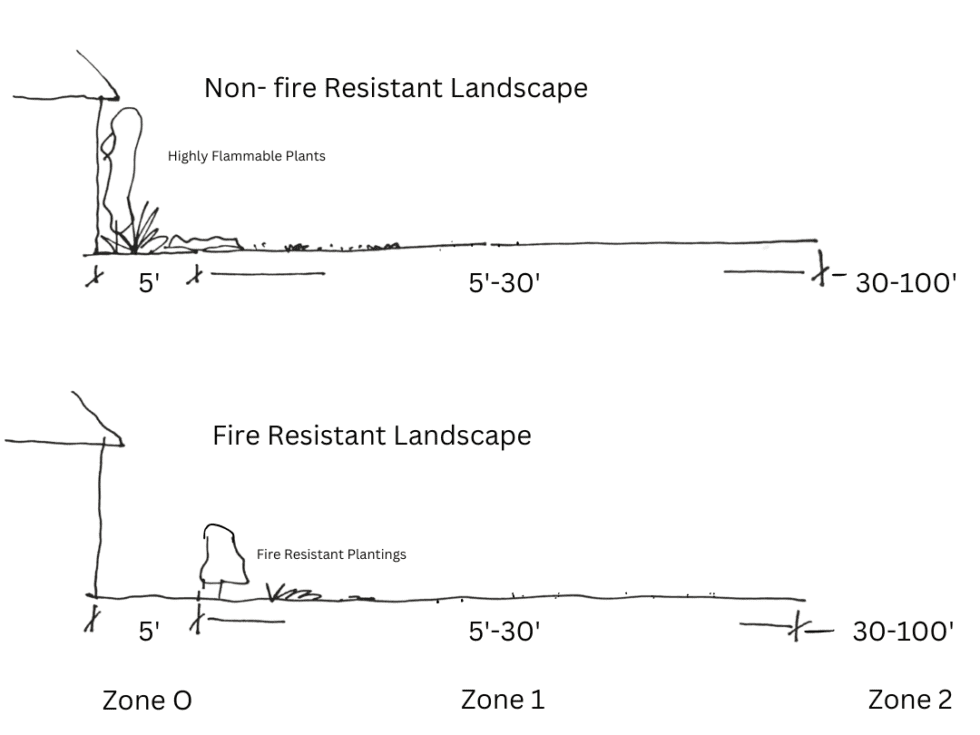 Fire-Resistant Landscapes - Talk Flowers to Me